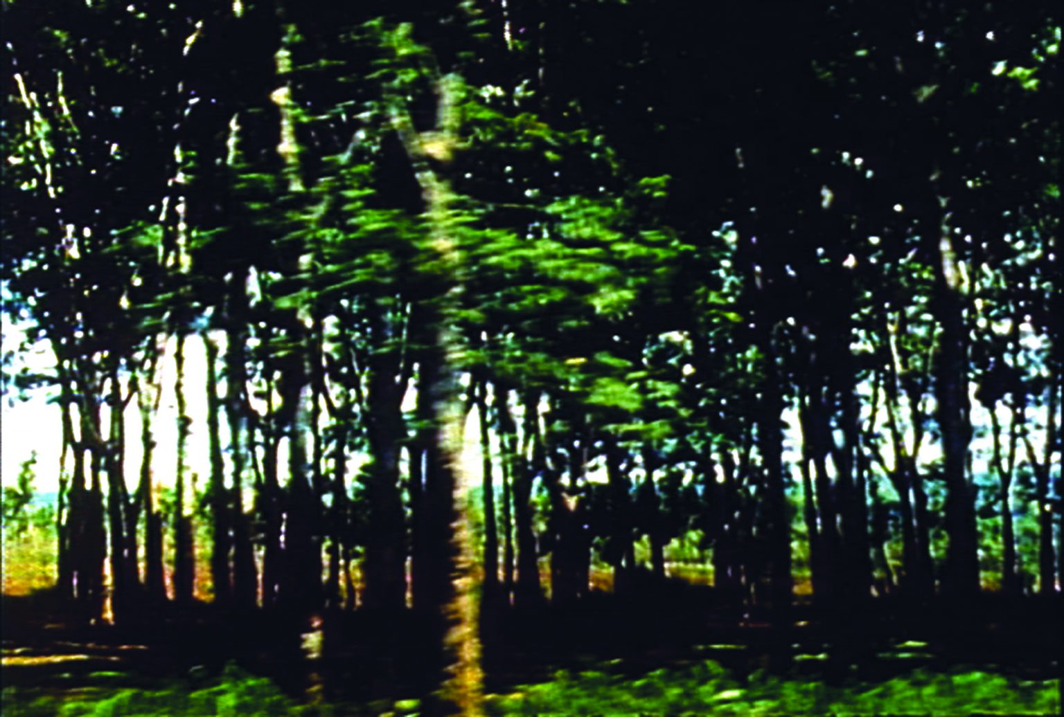 Which Way is East: Notebooks from Vietnam | Lynne Sachs: experimental ...